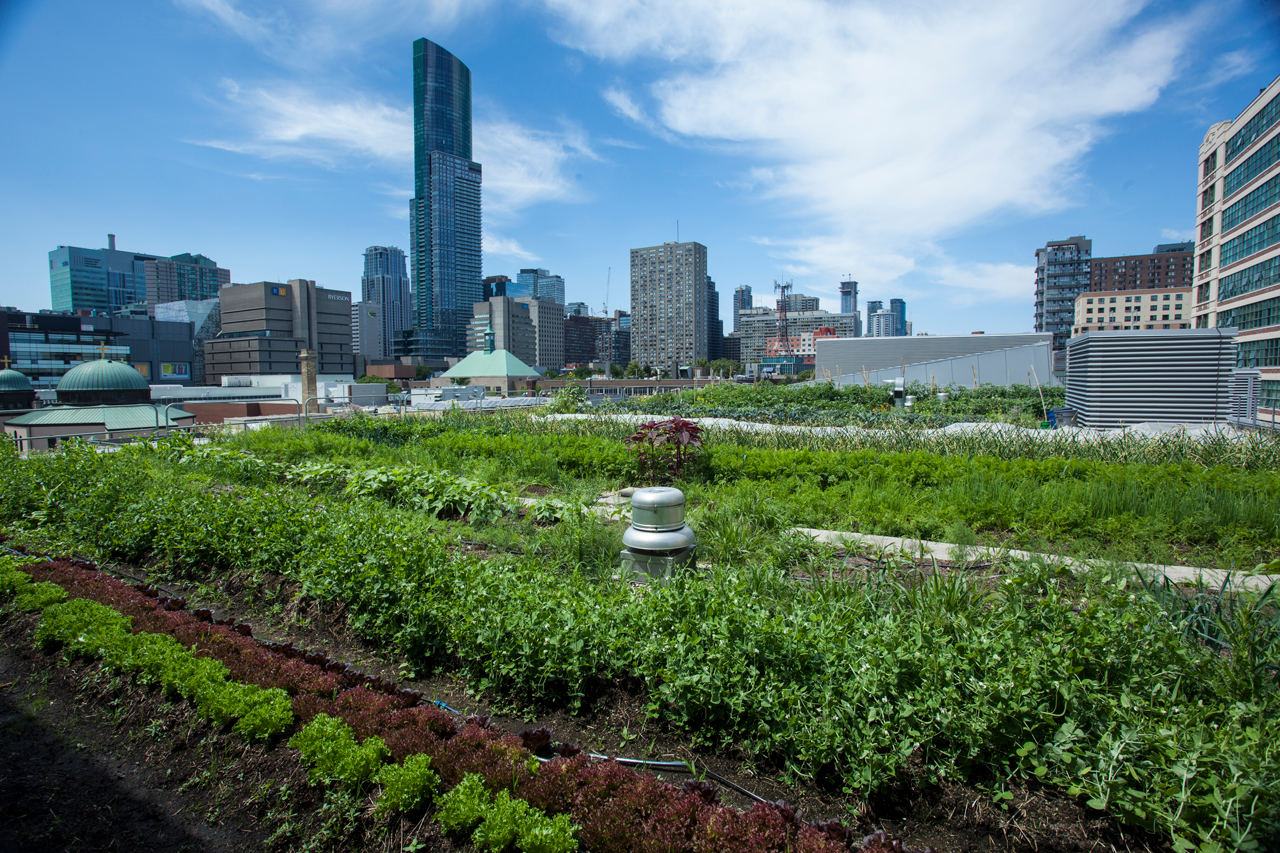Ryerson University Engineering Campus