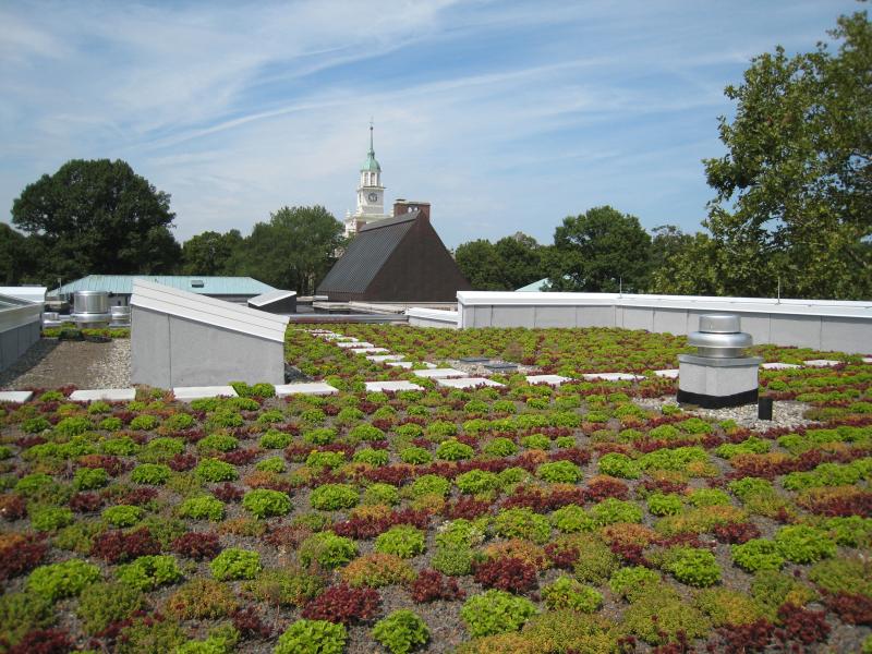 Garden Roof® Assembly: Extensive - American Hydrotech, Inc.