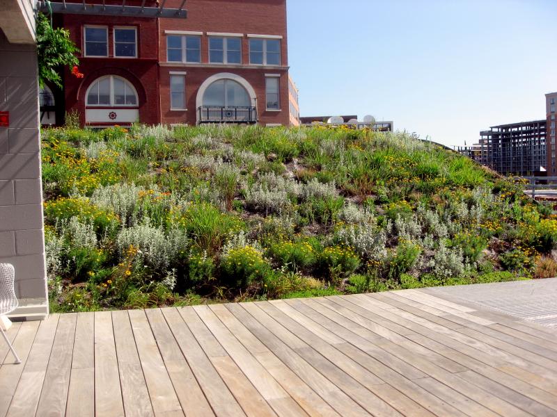 Garden Roof® Assembly: Sloped Applications - American Hydrotech, Inc.